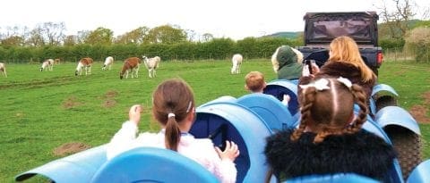 Prices & Opening Times - Monk Park Farm