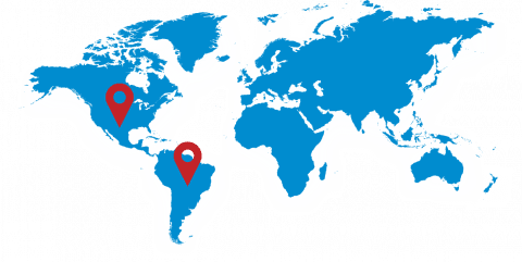 Meet the Llamas a Part of Camelid Family | Monk Park Farm