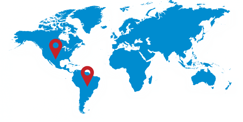 Meet the Llamas a Part of Camelid Family | Monk Park Farm