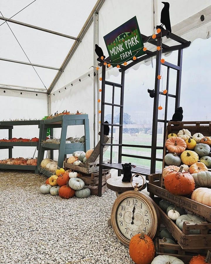 Halloween Spooktacular | Pumpkin Picking - Monk Park Farm