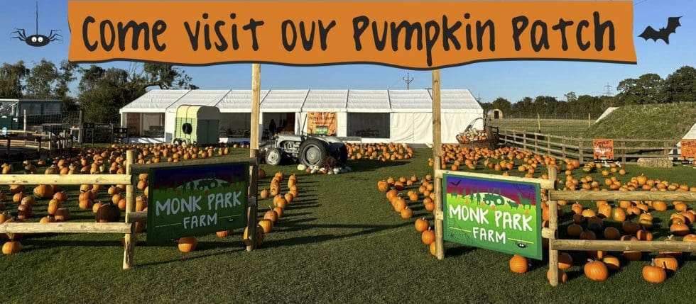 🎃 WE’VE GOT YOU COVERED 🌧️ - Monk Park Farm
