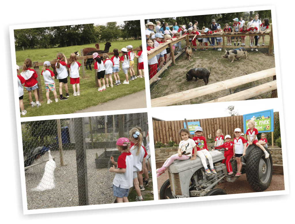 School & Group Visits - Monk Park Farm