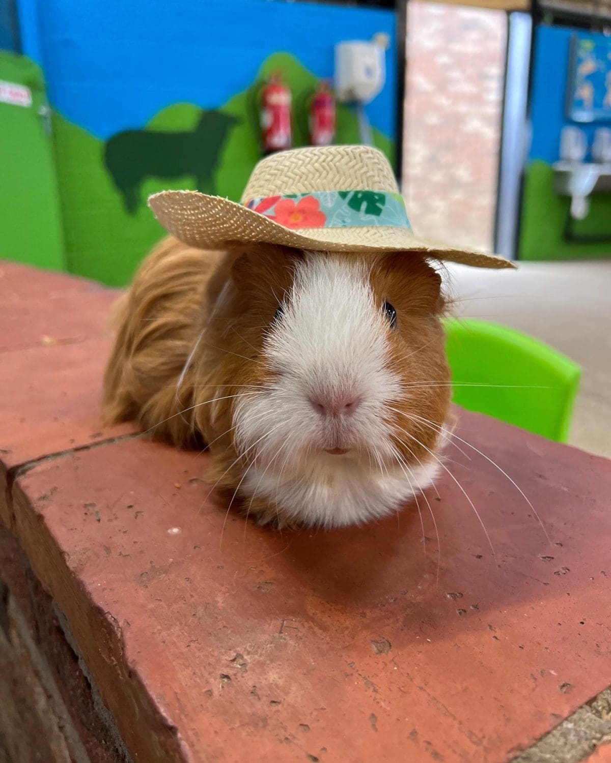 Summer holidays at Monk Park Farm - Monk Park Farm