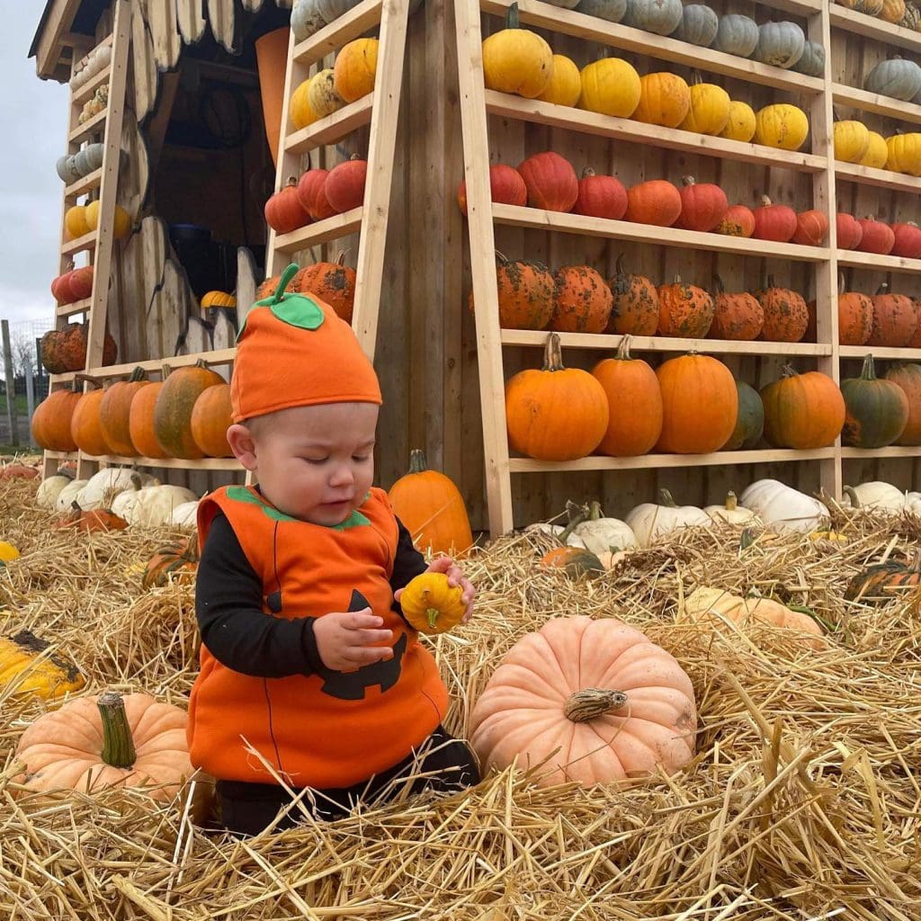 Halloween Spooktacular | Pumpkin Picking - Monk Park Farm