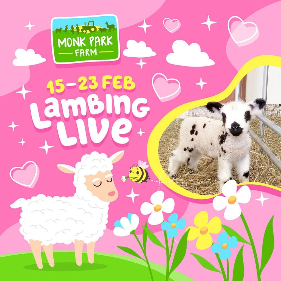 Farm Park in Yorkshire | Monk Park Farm