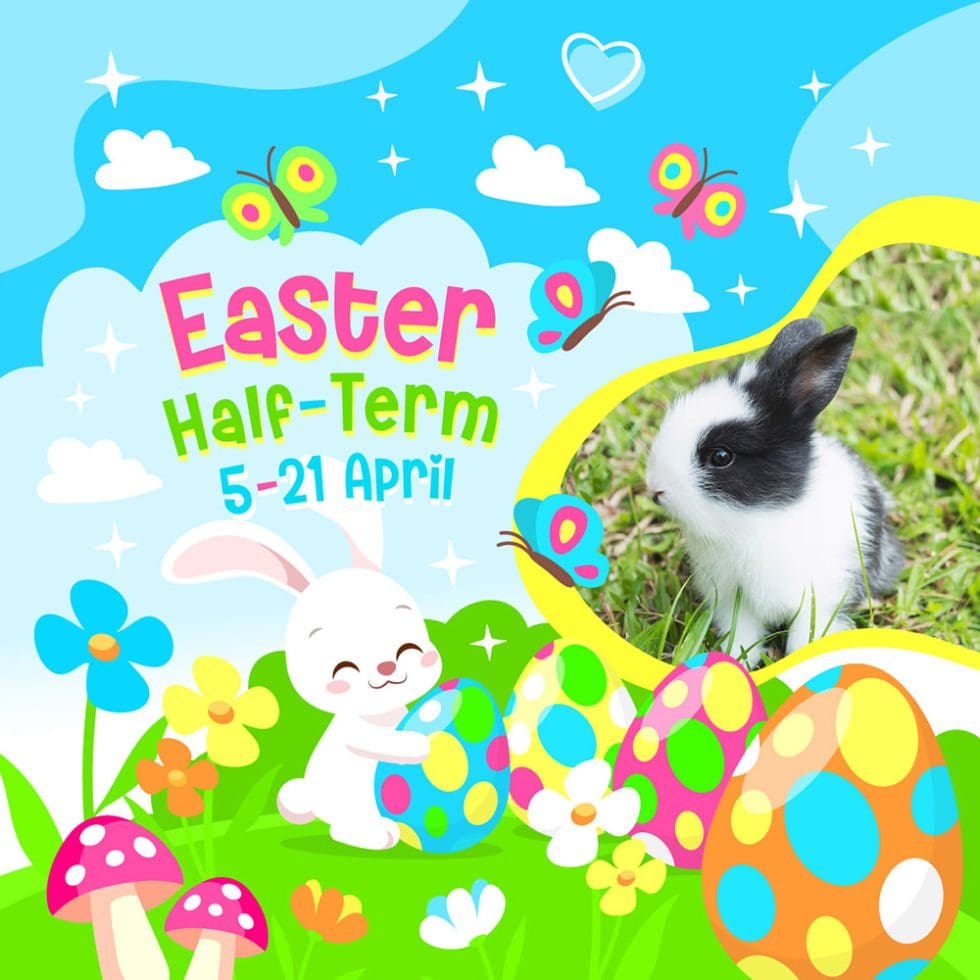 Farm Park in Yorkshire | Monk Park Farm