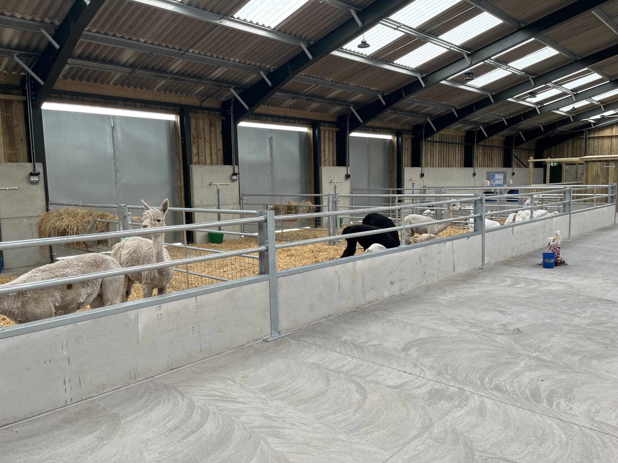 New Animal Barn Now Officially Open | Monk Park Farm