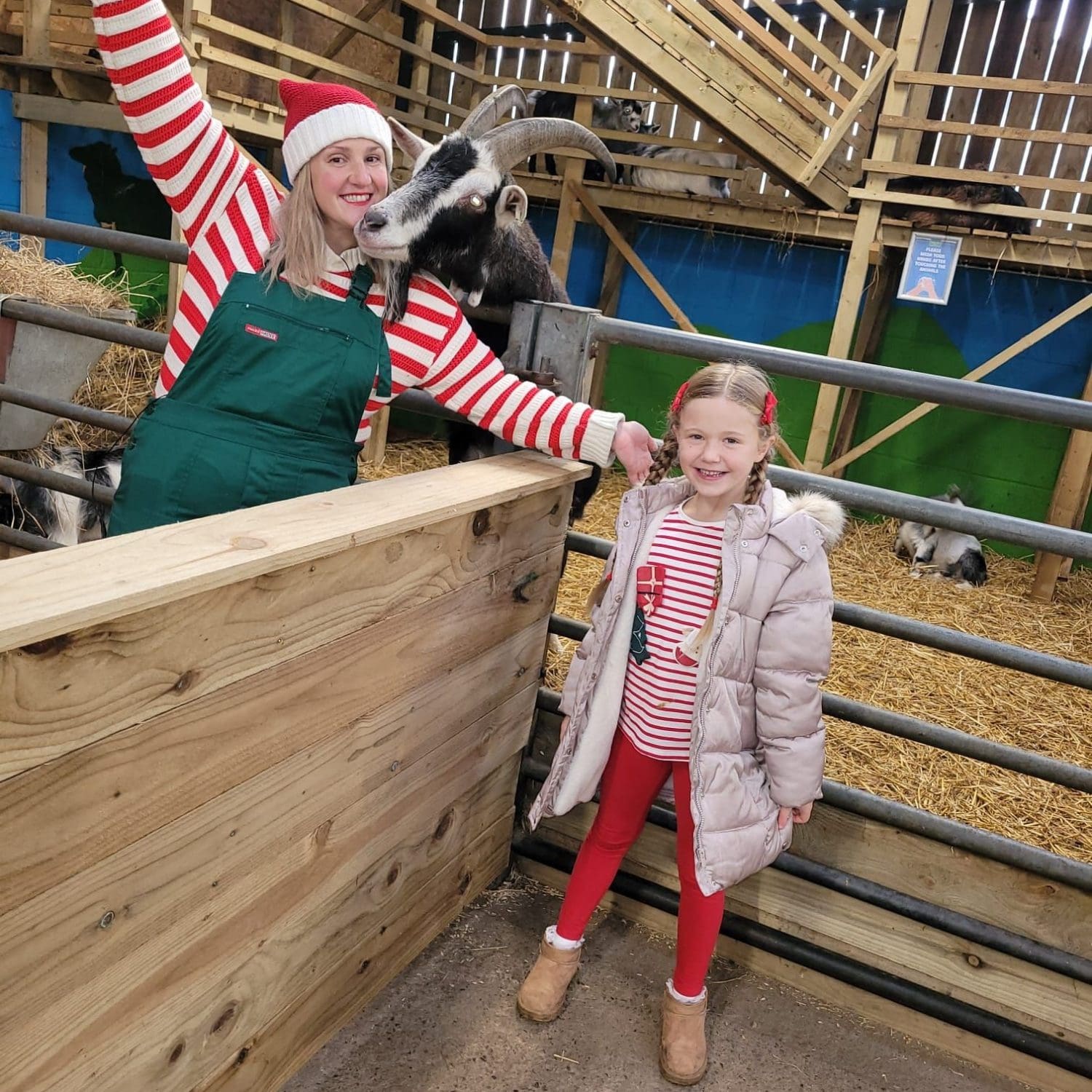 Lots to See Down at Santa’s Stables - Monk Park Farm